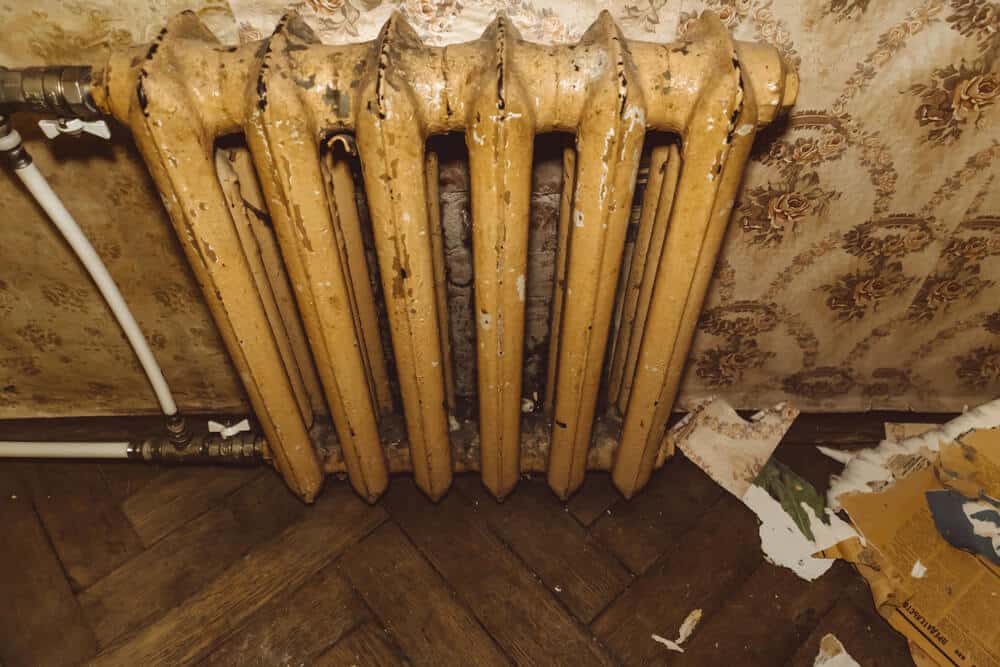 How to Prevent Mold in Florida Homes: A Complete Guide