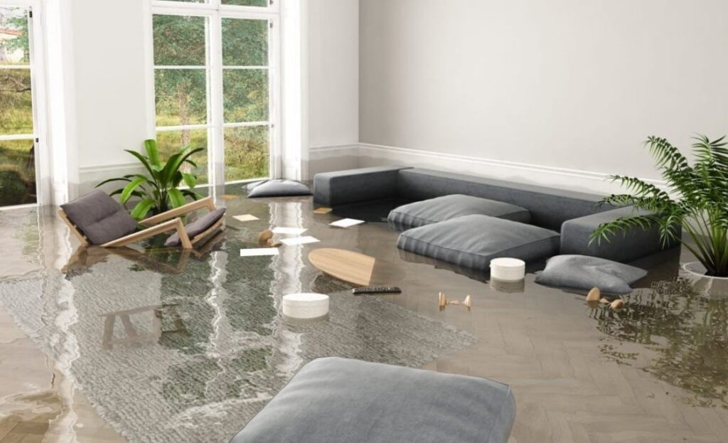 The Danger of Indoor Standing Water | All Dry USA