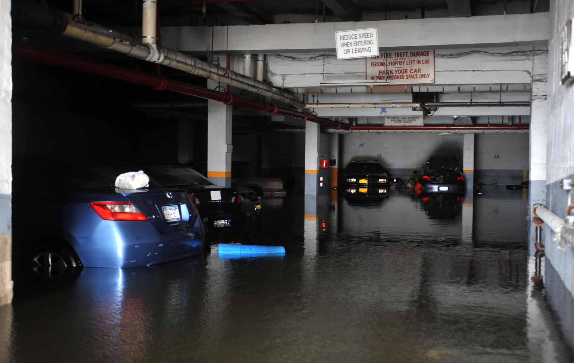 Mold, Fire, & Water Damage Restoration | All Dry USA