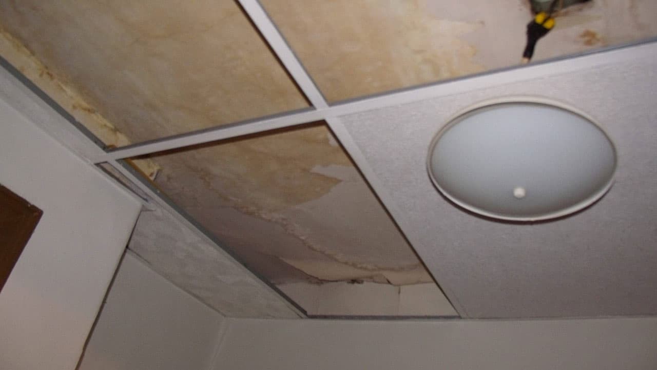How To Repair Water Damage From a Ceiling Leak: A Step-By-Step Guide ...